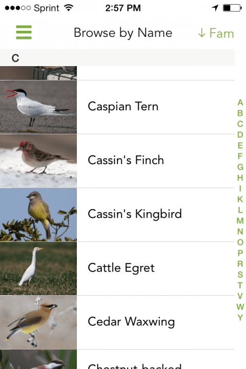 Learning about birds - bird books and bird id app